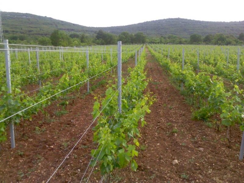 Split or Trogir: Krka Waterfalls & Wine and Food tasting - FAQ