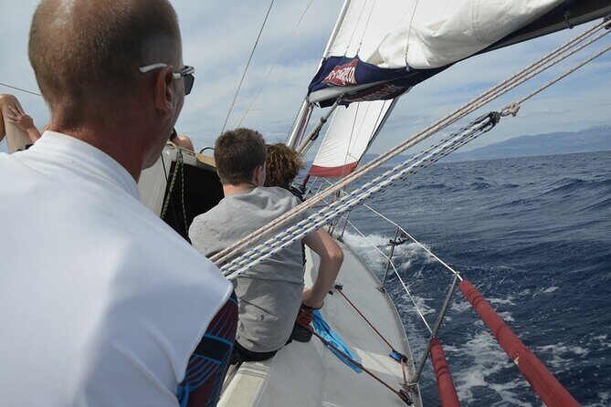 Split: Small-Group Half Day Sailing Trip - An In-Depth Look at the Experience