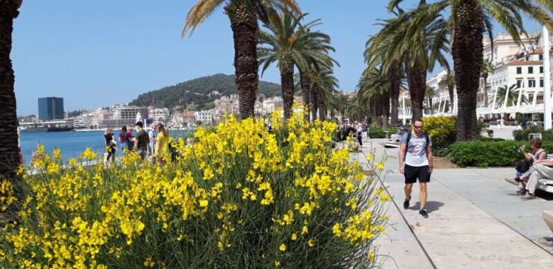 SPLIT:Emperor's Walking Tour for History Lovers - Who Will Love This Tour?