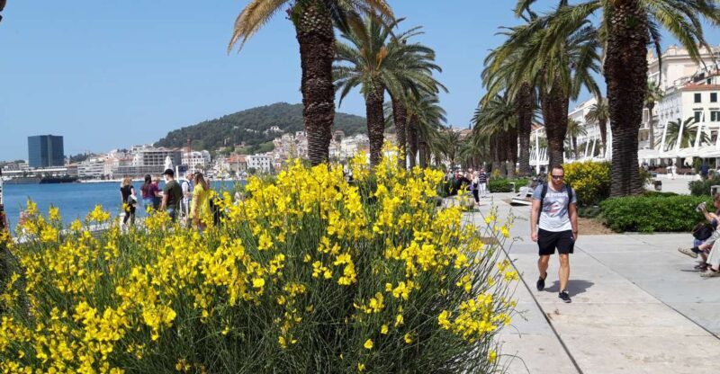 SPLIT:PRIVATE Emperor's Walk for History Lovers+Museum - Who Is This Tour Best For?