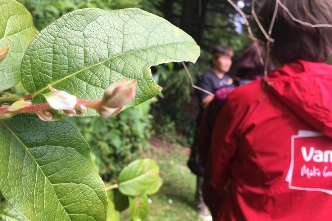 Spoken Treasures: Stanley Park Indigenous Walking Tour - Practical Tips for Visitors