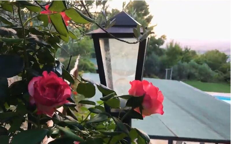 Spoleto Countryside Home Cooking Pasta Class & Meal - An Authentic Experience in the Heart of Umbrian Countryside
