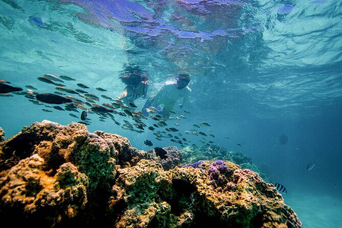 SPORT Catamaran Bora Bora : Sailing Snorkeling & Floating Bar - Why This Tour Might Be Perfect for You