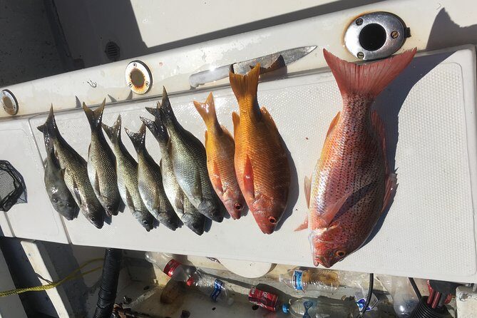 sport fishing - What to Expect on the Water