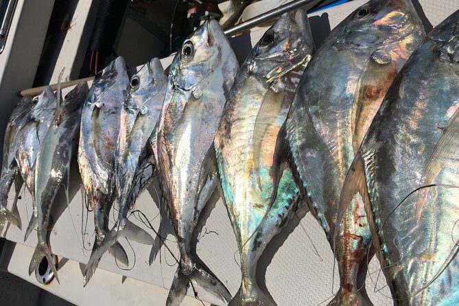 sport fishing - Who Is This Tour Best For?