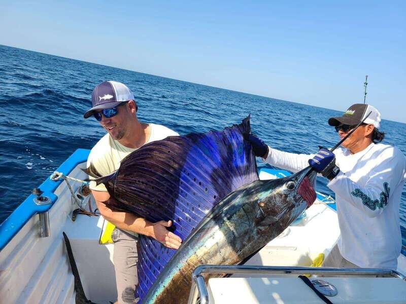 Sport fishing in mazatlan - A Practical Guide to Mazatlan’s Sport Fishing Tour