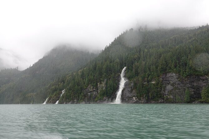 Spring Bear and Waterfall Tour - An In-Depth Look at the Spring Bear and Waterfall Tour