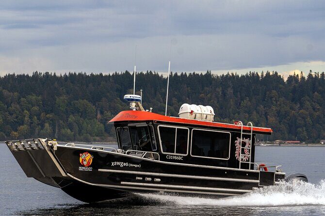Spring Bears and Whales Tour in Campbell River - An In-Depth Look at the Spring Bears and Whales Tour