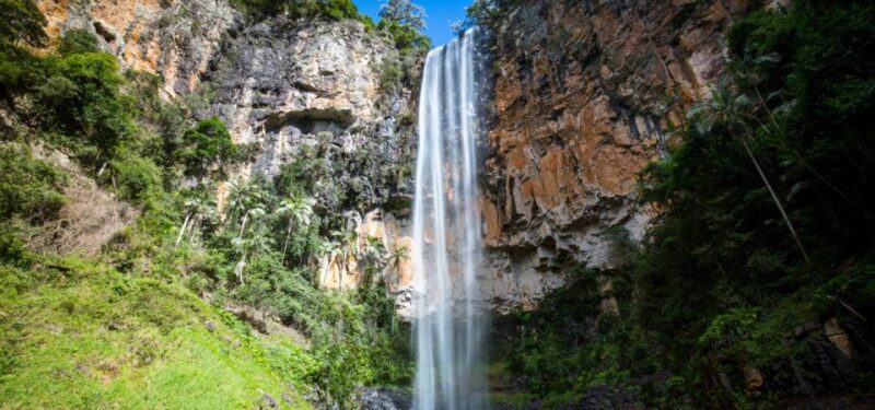 Spring Brook National Park Driving Tour with an APP - Discovering Springbrook National Park: An Overview