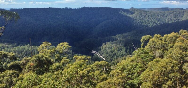 Spring Brook National Park Driving Tour with an APP - Itinerary Breakdown: Marveling at Waterfalls and Views