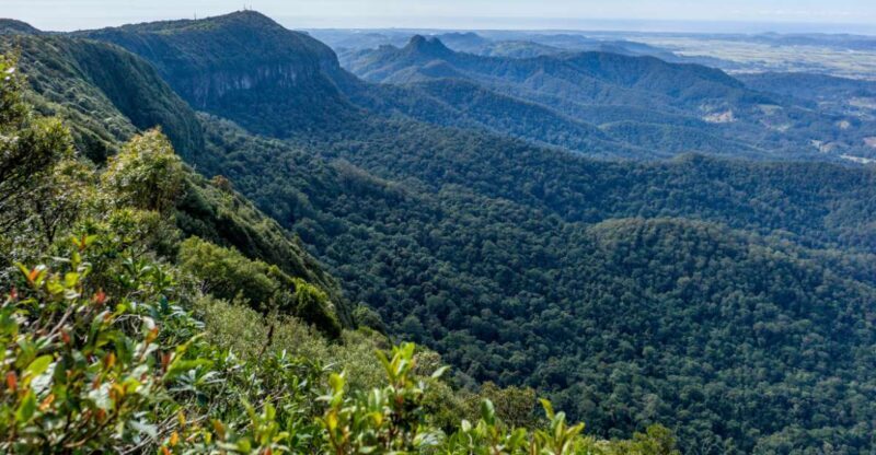 Spring Brook National Park Driving Tour with an APP - The Value of a Self-Guided Tour in Springbrook