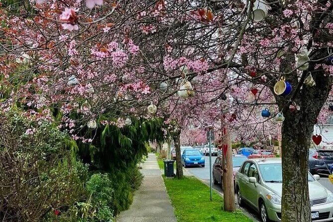 Spring Cherry Blossom Tour Victoria YYJ Airport Pickup - FAQs