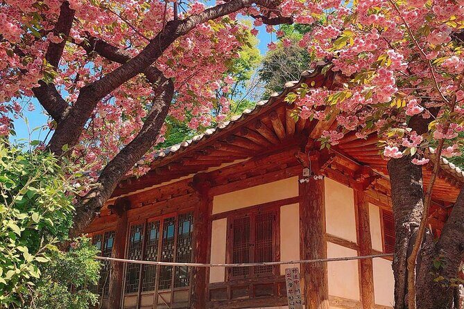Spring Flower Festival and Seosan Gaesimsa and Munsusa Tour - A Full Breakdown of the Tour Experience