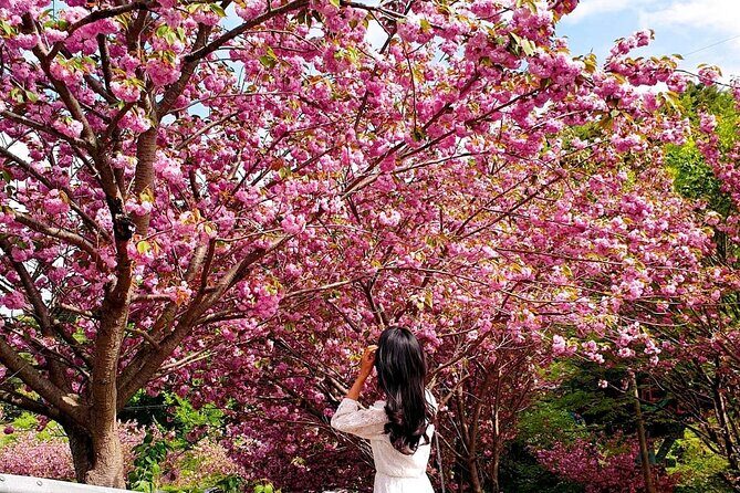 Spring Flower Festival and Seosan Gaesimsa and Munsusa Tour - FAQ