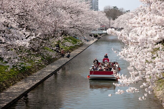 Spring Quartet & Matsukawa Sakura Tour in Toyama from Kanazawa - Authentic Experiences and Practical Tips