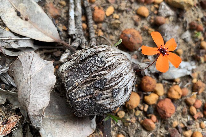 Spring Wildflower Private Day Tours - What Makes This Tour Stand Out?