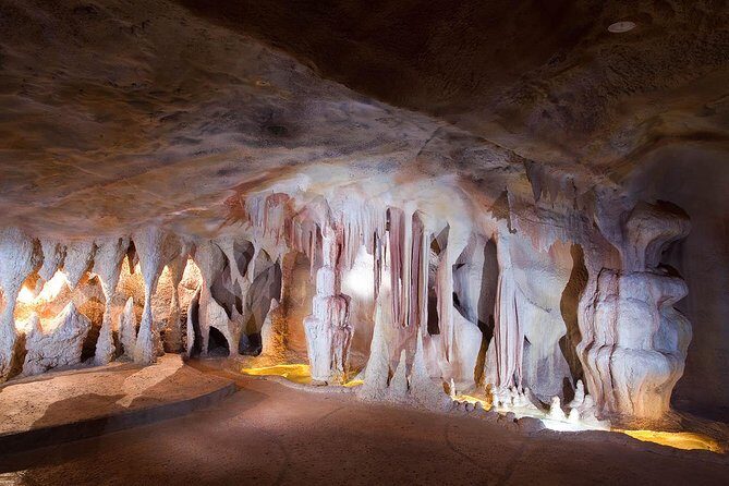 Springbrook andTamborine Rainforest Tour Incl Natural Bridge and Glow Worm Cave - Who Should Consider This Tour?