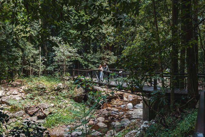 Springbrook andTamborine Rainforest Tour Incl Natural Bridge and Glow Worm Cave - Frequently Asked Questions
