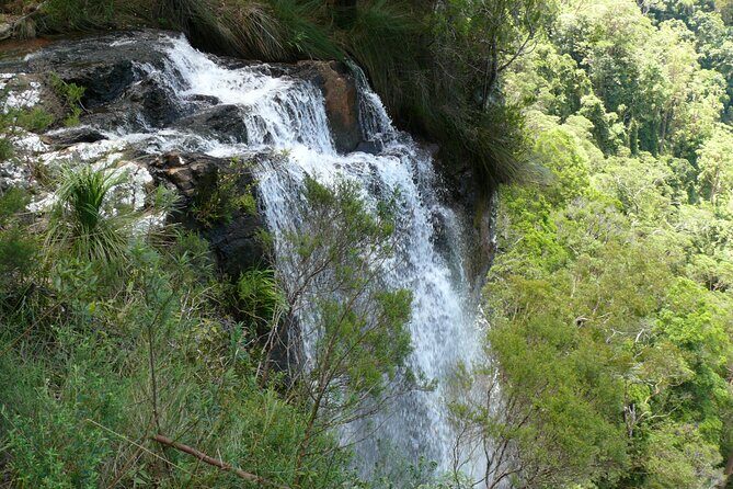 Springbrook, Natural Arch & Numinbah Valley + Hot Air Balloon with Breakfast - Practicalities and Logistics: What to Expect