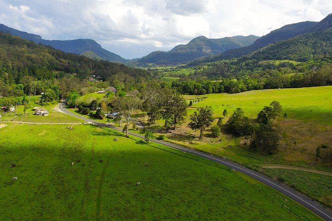 Springbrook Waterfalls & Natural Bridge Tour from Gold Coast - Who Will Love This Tour
