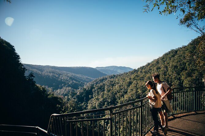 Springbrook Waterfalls & Natural Bridge Tour from Gold Coast - Final Thoughts