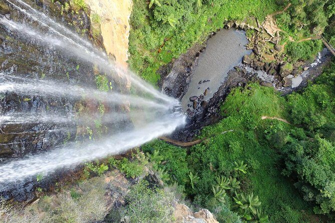 Springbrook Waterfalls & Natural Bridge Tour from Gold Coast - FAQ about the Springbrook Waterfalls & Natural Bridge Tour
