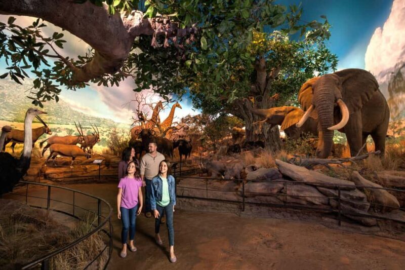 Springfield: Wonders of Wildlife National Museum & Aquarium - Springfield: Wonders of Wildlife National Museum & Aquarium – A Detailed Look