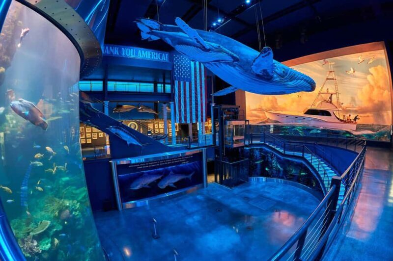 Springfield: Wonders of Wildlife National Museum & Aquarium - Who Is This Experience Best For?