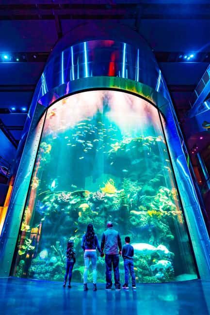Springfield: Wonders of Wildlife National Museum & Aquarium - Final Thoughts