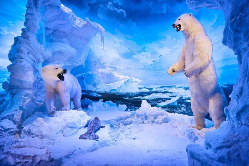 Springfield: Wonders of Wildlife National Museum & Aquarium - FAQ