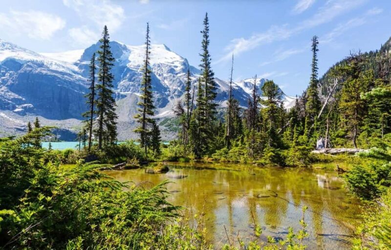 Squamish-Lillooet: Joffre Lakes Guided Hike - Why This Hike Stands Out