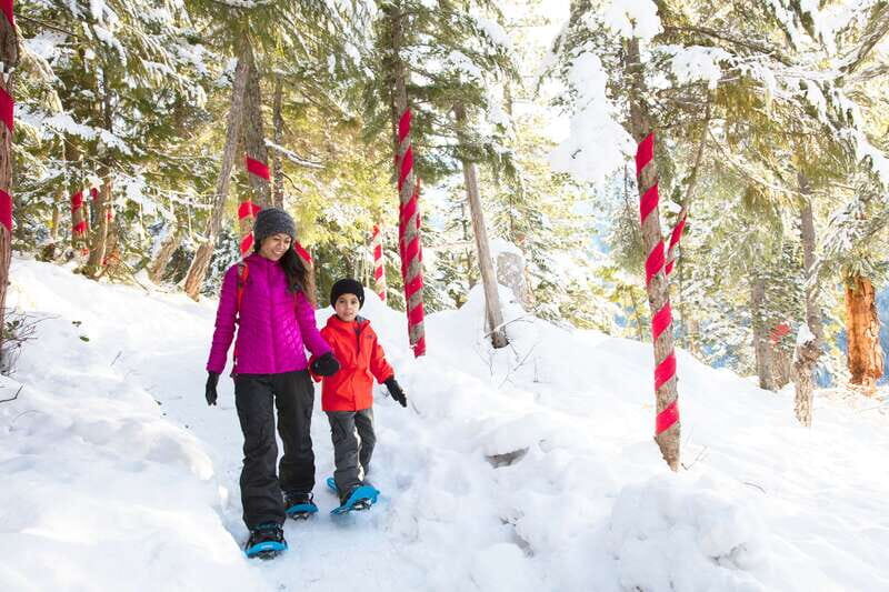 Squamish: Sea to Sky Gondola Admission Ticket - Key Points