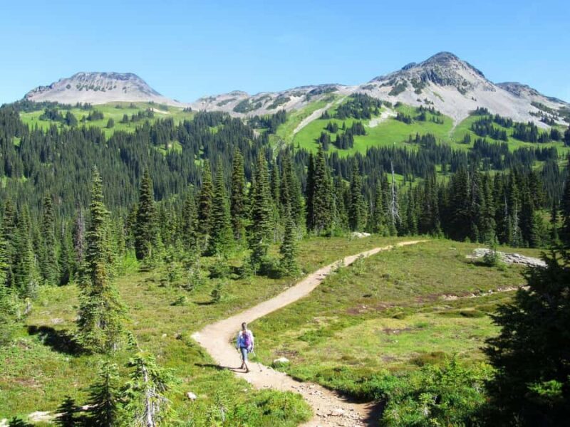 Squamish/Whistler: Garibaldi Park Panorama Ridge Guided Hike - Additional Details and Context
