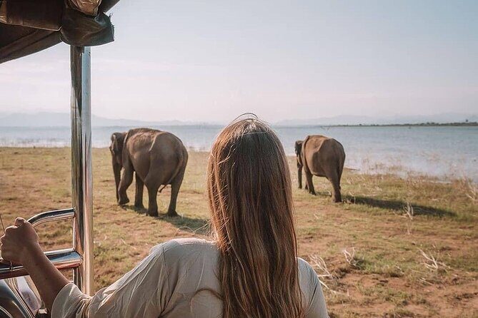 Sri Lanka 03 night 04 days budget tour package - FAQs