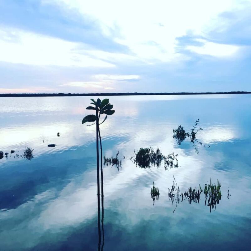 Sri Lanka: 10-Day Guided Tour with Customized tour - Authentic Experiences and Practical Tips