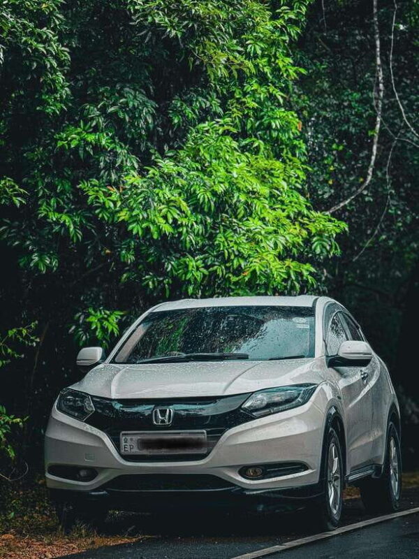 Sri Lanka: 10-Day Luxury Tour with guide - FAQ