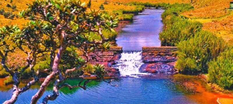 Sri Lanka: 10-Day Wildlife, Culture & Scenic Adventure - What Could Be Improved