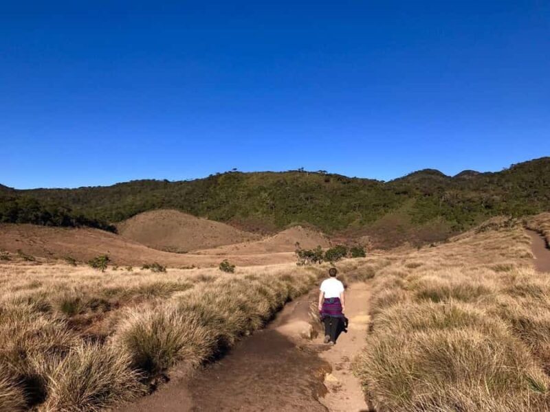 Sri Lanka 10-Days Highlights Tours - The Sum Up: Who Will Love This Tour?