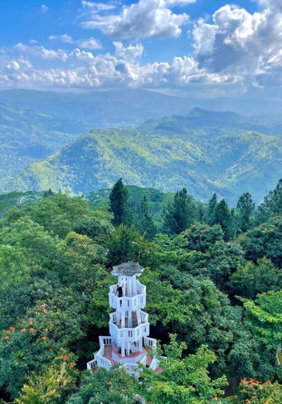 Sri Lanka: 10-Days Private Guided Tour - Introduction to the 10-Day Private Tour of Sri Lanka
