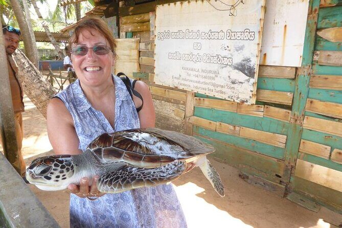 Sri Lanka: 10 Days tour with 3-4* Hotels(HB)Driver & Private Car - A Deep Dive into the 10-Day Sri Lanka Tour Experience