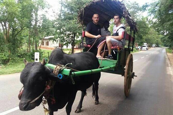 Sri Lanka: 10 Days tour with 3-4* Hotels(HB)Driver & Private Car - Who Will Love This Tour?