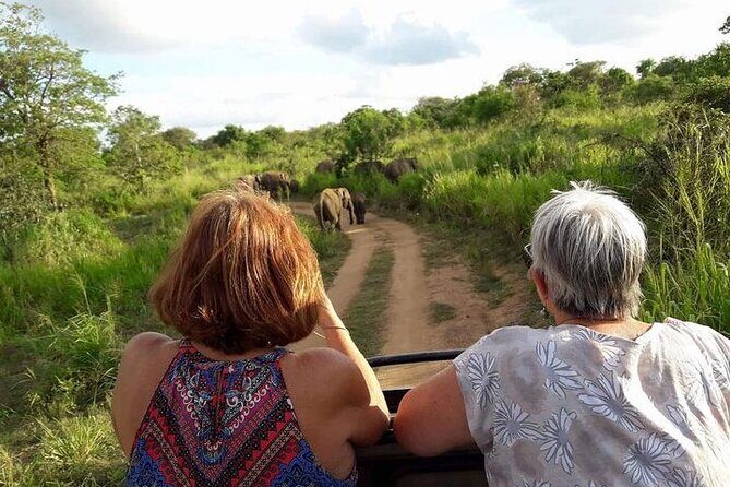 Sri Lanka: 10 Days tour with 3-4* Hotels(HB)Driver & Private Car - Final Thoughts