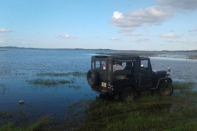 Sri Lanka 11 Days with Driver and Vehicle (Customizable) - A Close Look at the Itinerary