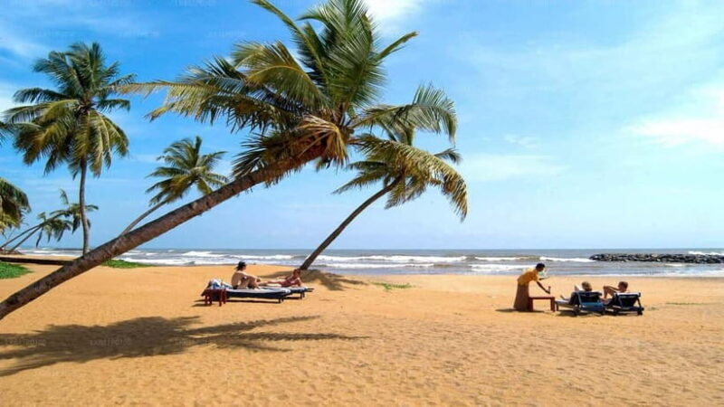 Sri Lanka 14-Day Journey: Culture, Nature & Adventure - A Solid Introduction to Sri Lanka’s Heart and Spirit