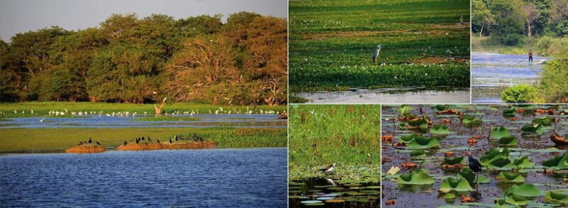 Sri Lanka 14-Day Journey: Culture, Nature & Adventure - Final Thoughts