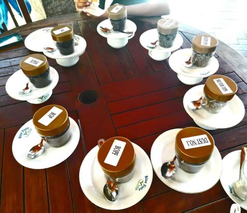 Sri Lanka: 15-Day Guided Tour with Transfers & Hotels - Introduction: Why This Tour is Worth Considering