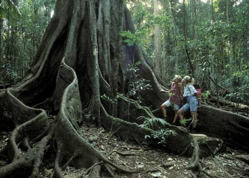 Sri Lanka 2-Day National Parks Trip, Hotel, Transport, Guide - Inclusions & Exclusions
