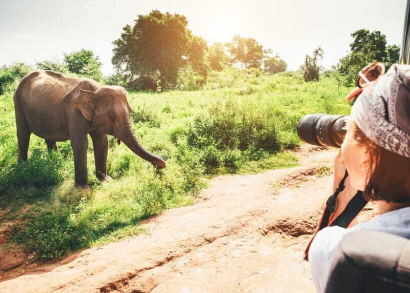 Sri Lanka 2-Day National Parks Trip, Hotel, Transport, Guide - Suitability