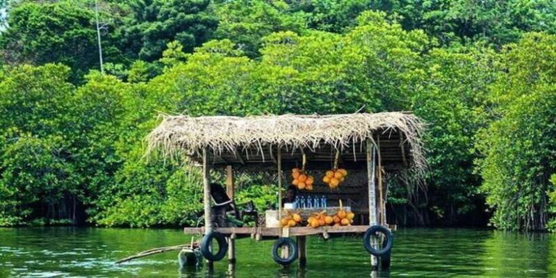 "Sri Lanka 2-Day Tour: Explore Hikkaduwa, Galle & Yala" - Practical Tips for Your Trip
