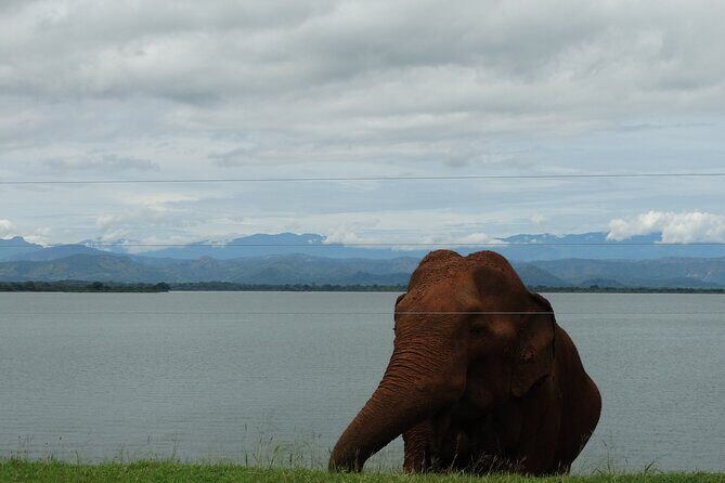 Sri-Lanka - 2 Days Galle Tour from Colombo by Train - An In-Depth Look at What This Tour Offers